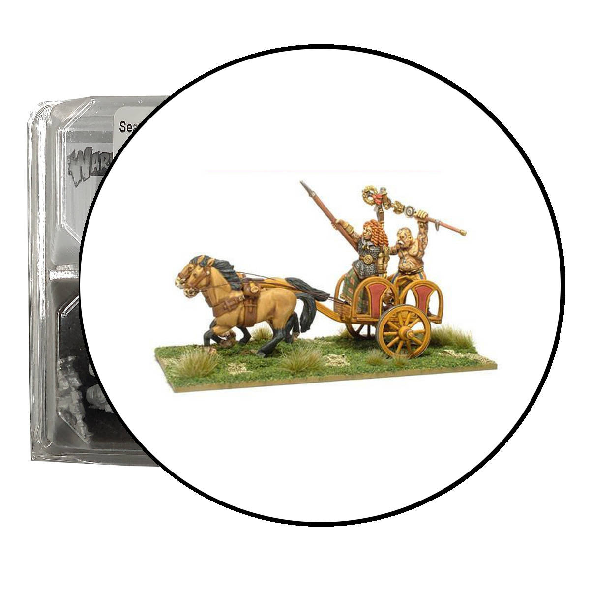 Ancient Britons | Hail Caesar / SPQR | Gry Bitewne Centrum Hobbystyczne ...